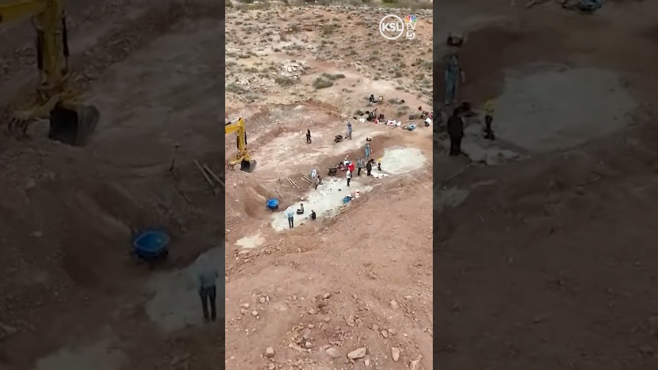 Video: Dinosaur dig site will be built over for Utah substation - KSLTV.com