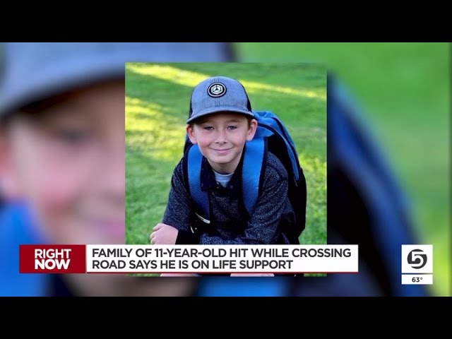 Video: Roy boy in medically-induced coma after being hit by car while ...