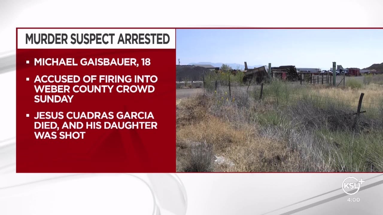 Video: Man arrested, suspected of murder after victim dies from Weber ...