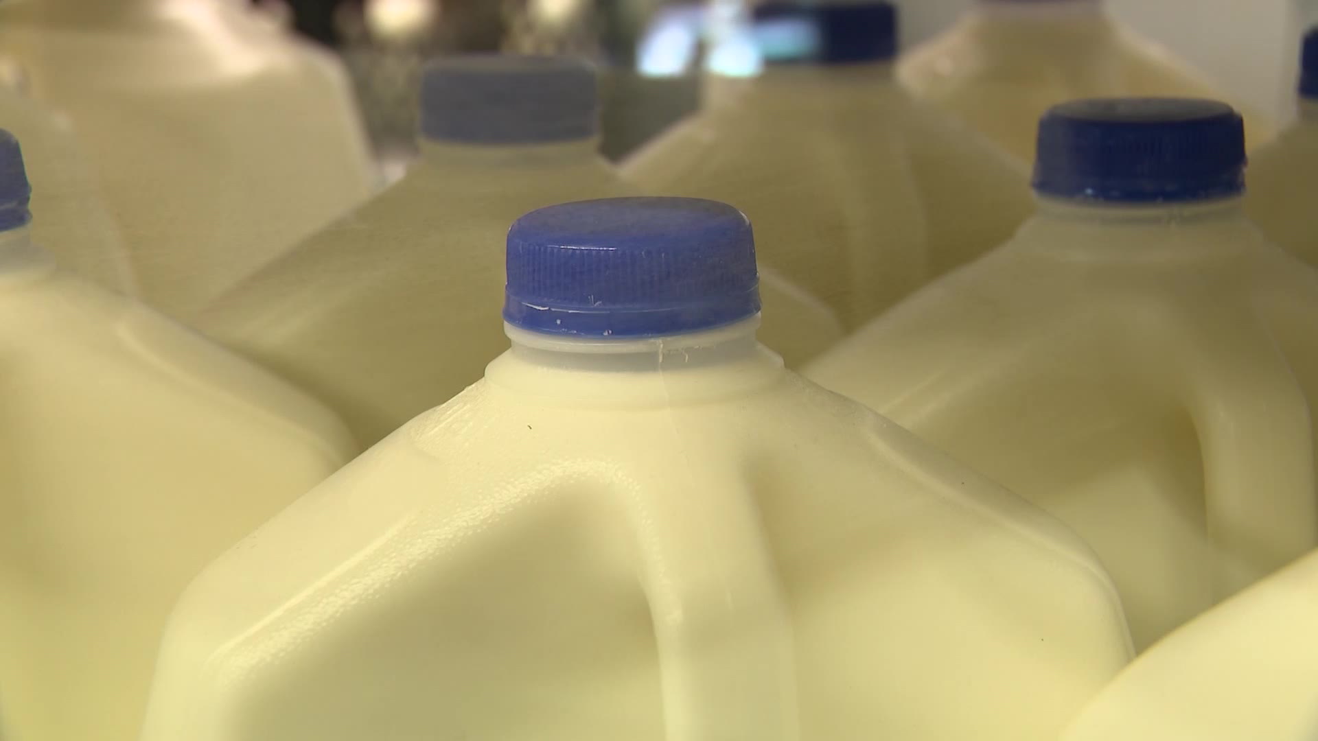 Tabitha’s Way sees surge in families seeking food assistance amid ...