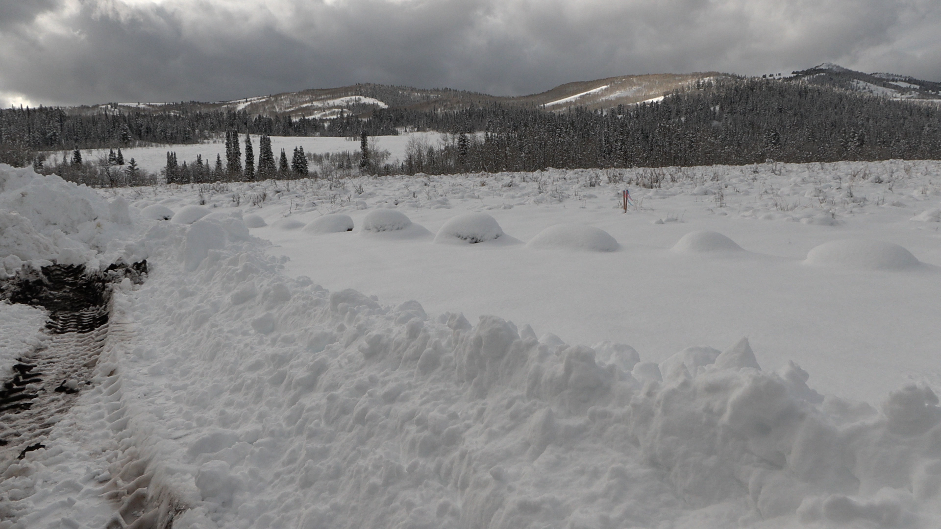 Avalanche danger high in Northern Utah backcountry, forecasters warn ...