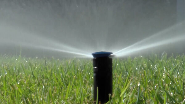 Utah drought order: What are the current watering rules in your ...