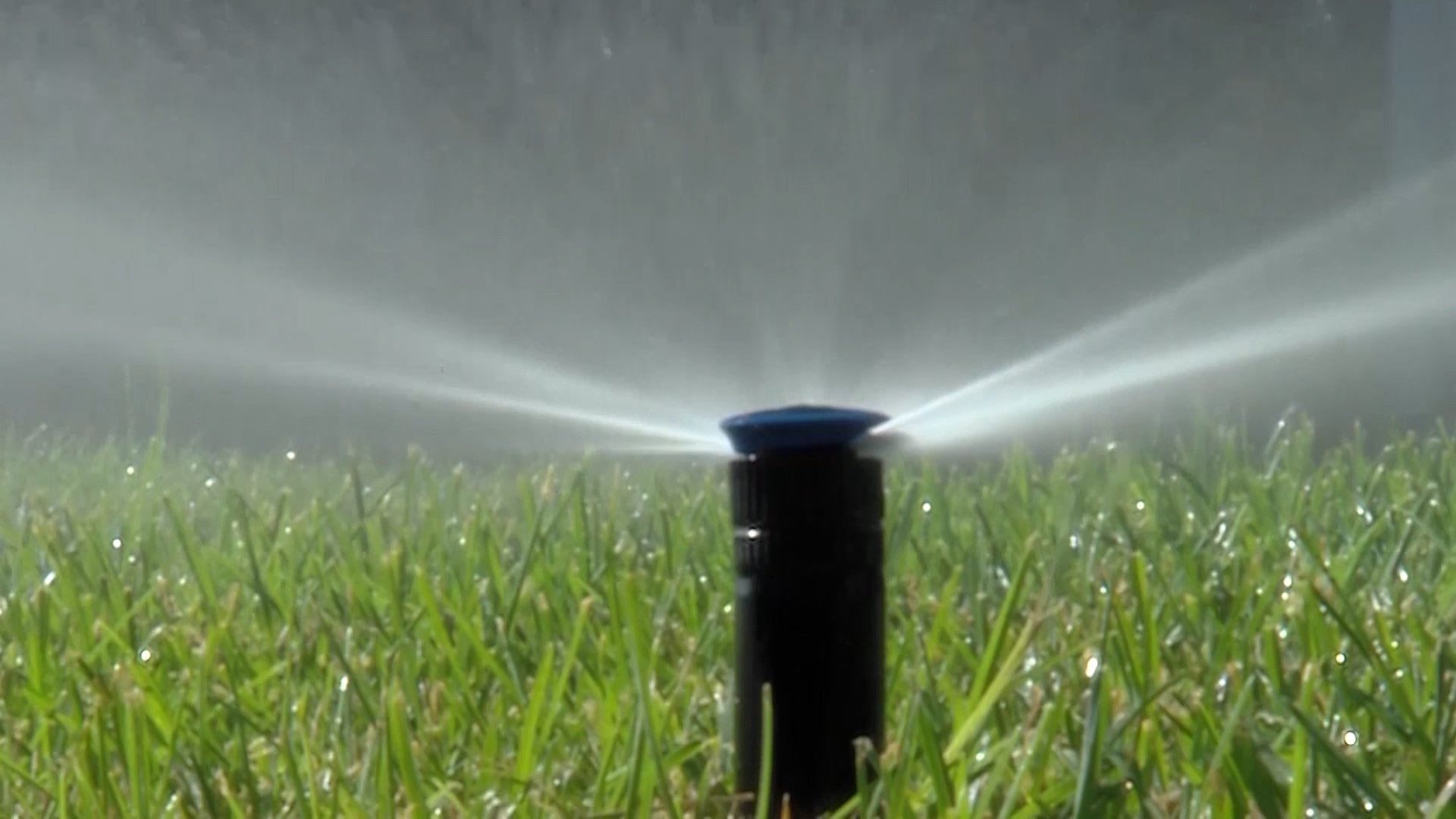 Utah drought order: What are the current watering rules in your ...
